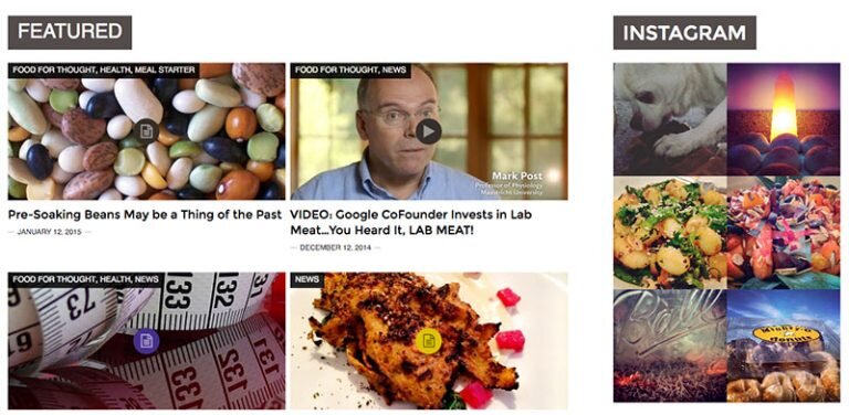 Real Life Instagram Feed On Website Examples Tagbox