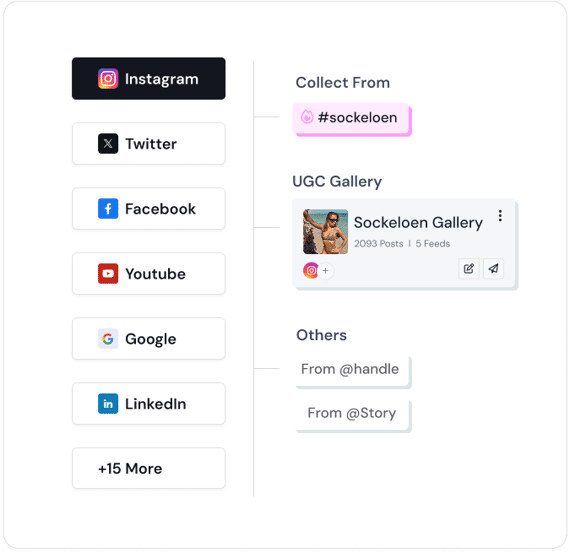 Instagram Embed Code Generator For Your Website - Taggbox