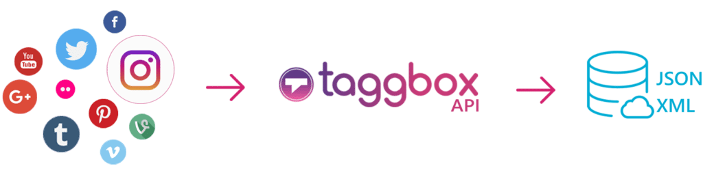 7 Interesting Ways to Use Instagram API