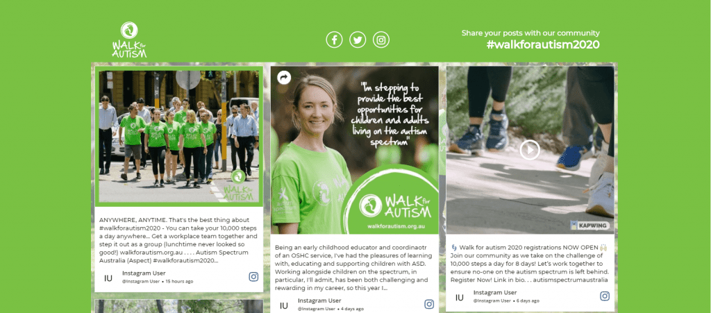 UGC Campaign: What, How, and Why with Examples