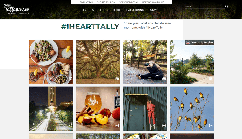 A Guide To Creating A Successful Ugc Campaign Taggbox Blog