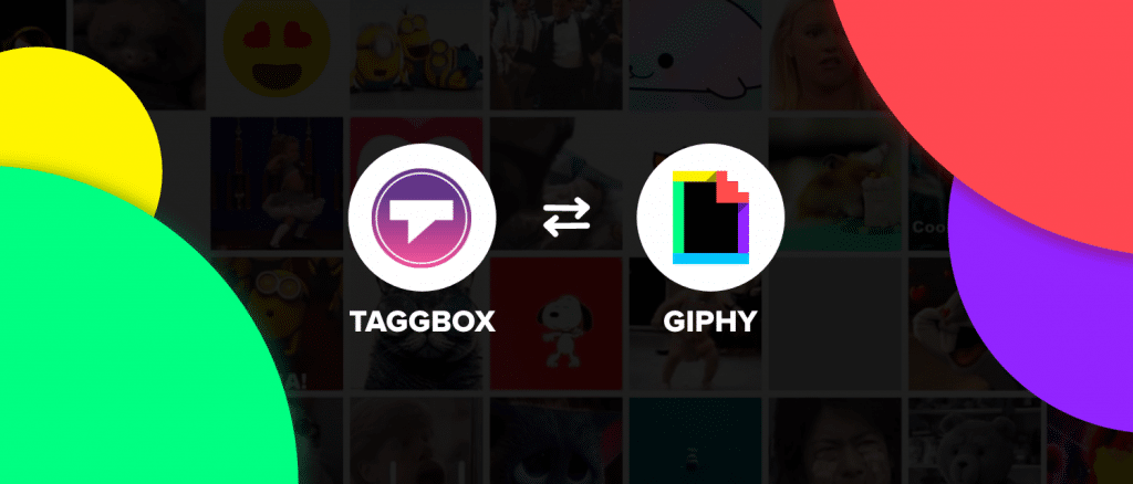 Brief Guide to Embed Gifs from Giphy to Your Website - Taggbox Blog