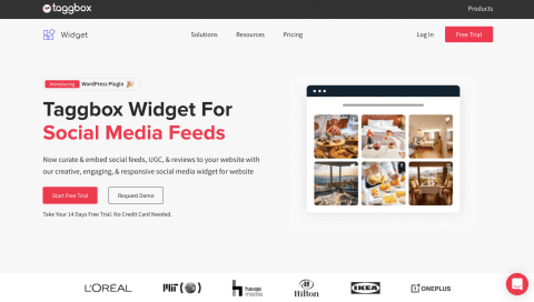7 Best Social Media Feed Plugins For WordPress - Taggbox Widget