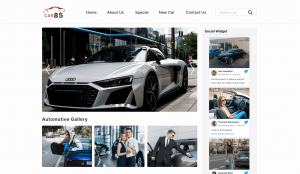 Top 10 Twitter Feed Examples For Your Website