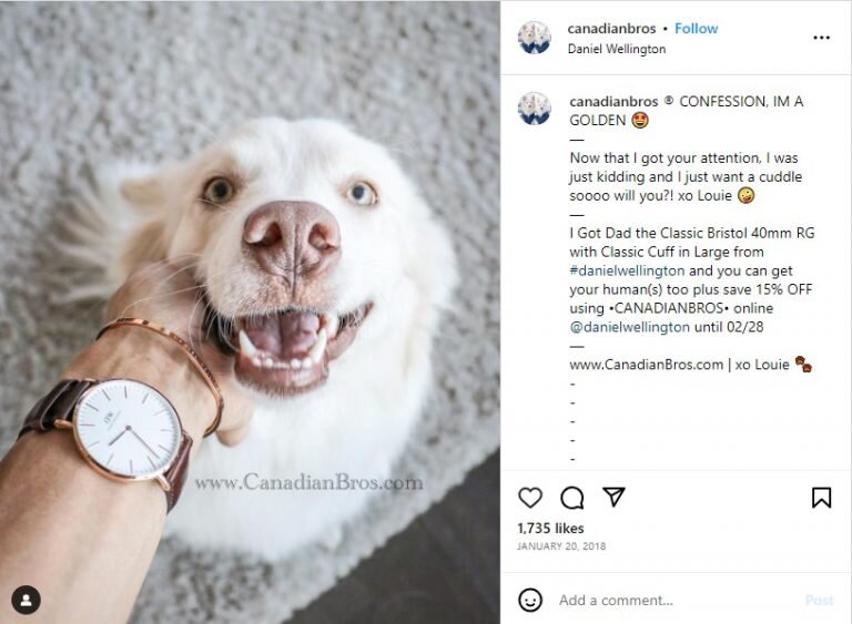 12 Influencer Marketing Campaign Examples in 2025