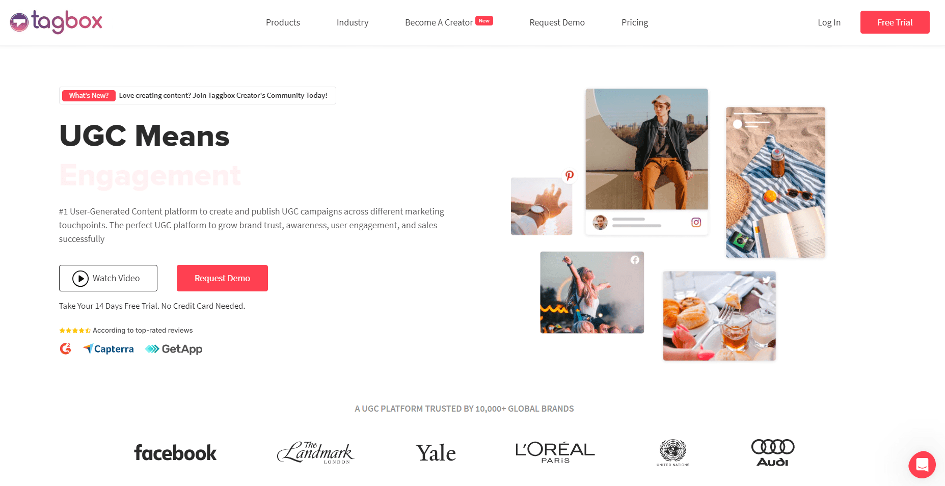 Top 15 UGC Platforms in 2025: Which One is Right For You