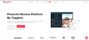 How To Automate Google Reviews Like A Pro?