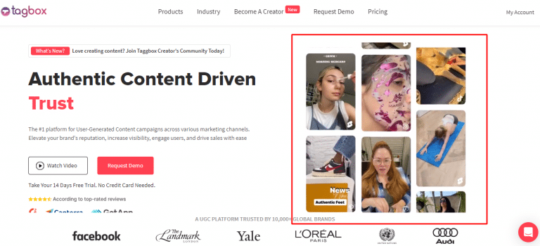 Testimonials On Website | Step - by - Step Guide With Examples