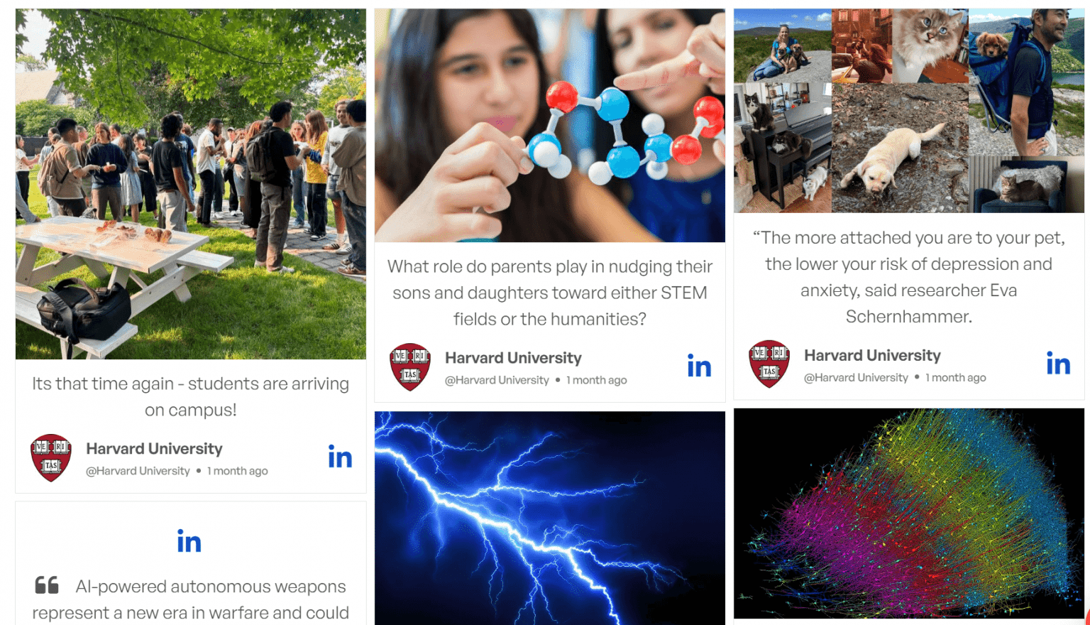 30+ Best Widgets For Websites [Free + Paid] in 2025