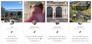 30+ Best Widgets For Websites [Free + Paid] in 2025