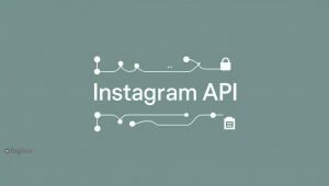 Instagram API: A Guide for Developers & Marketers