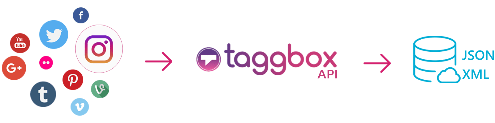 API Documentation - Taggbox Support