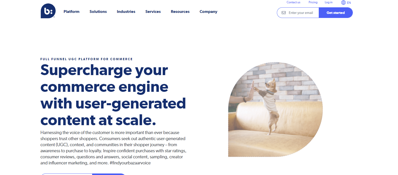 Top 12 UGC Platforms To Check Out in 2025